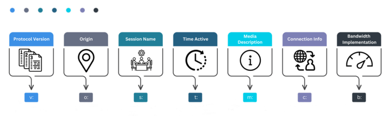 Modern Video-Conferencing Systems: An Introduction to the Session ...